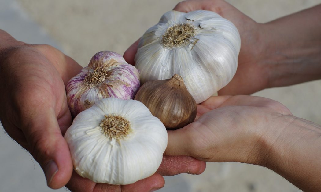 Unconventional use of garlic. Interesting and funny