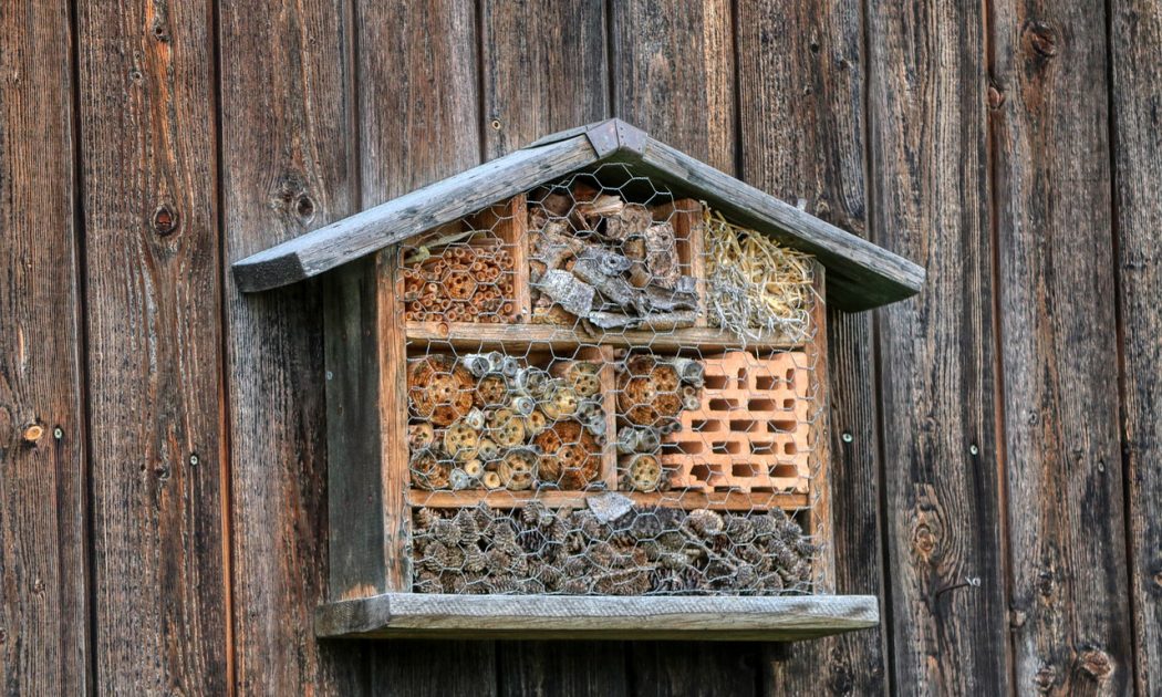 Insect house or bug house - help insect to survive the winter