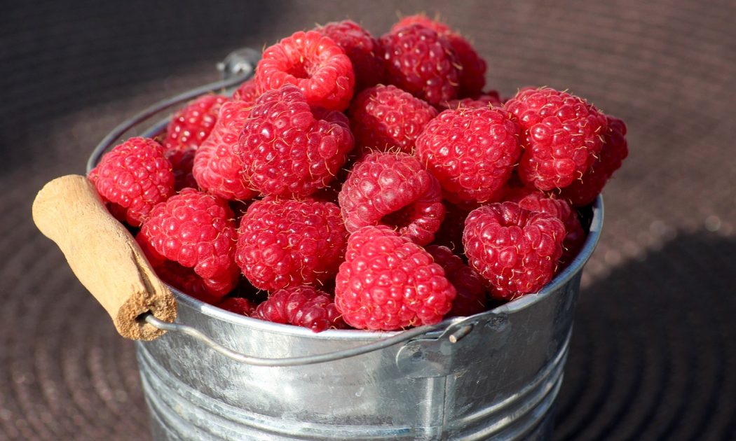A homemade fertilizer to increase raspberry harvest!