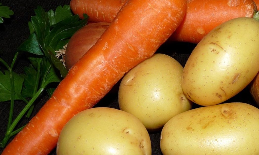 Things to do in August. Saw vegetables and get new strawberry rhizomes ...